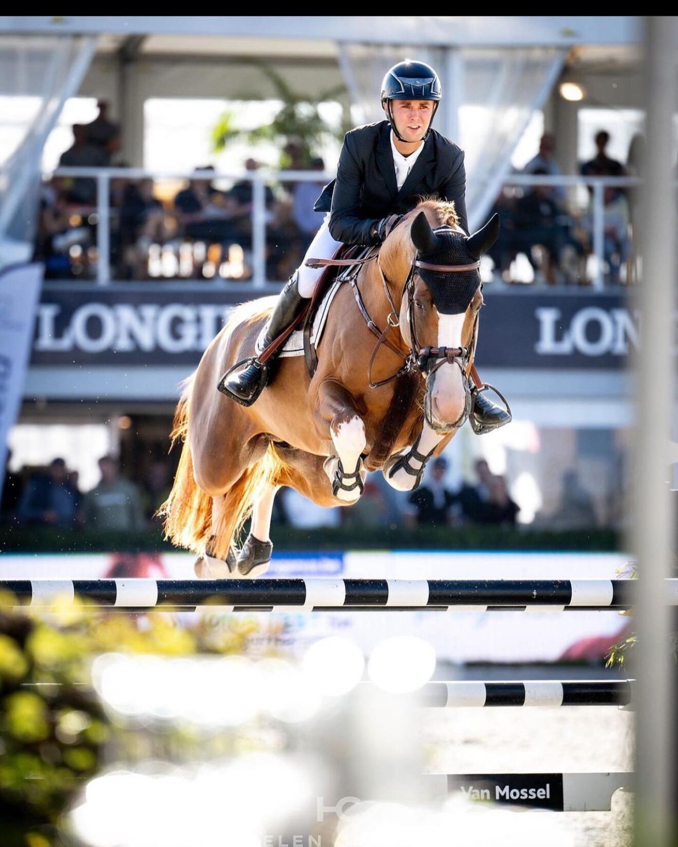 Ermitage Kalone – Rozel breeding