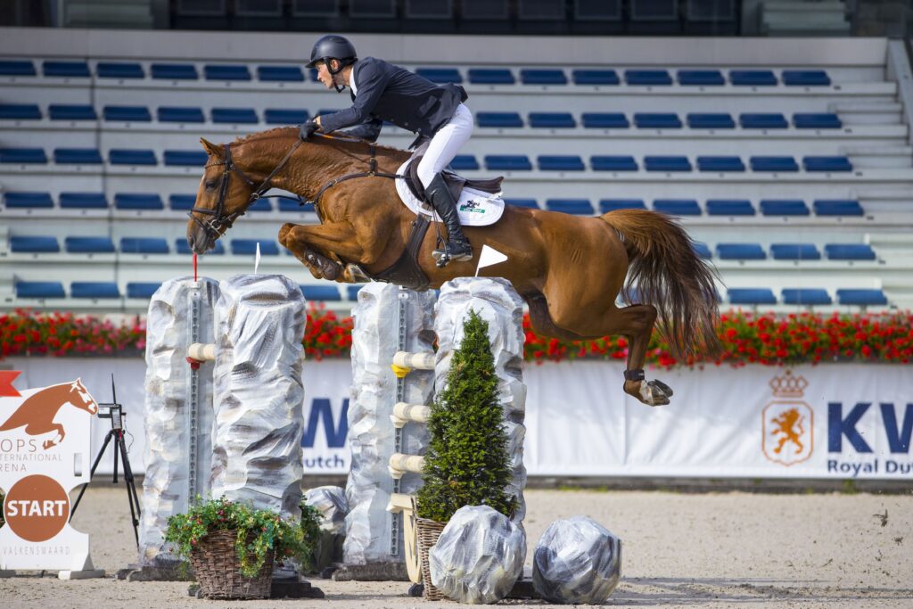 Inaico VDL – Rozel breeding